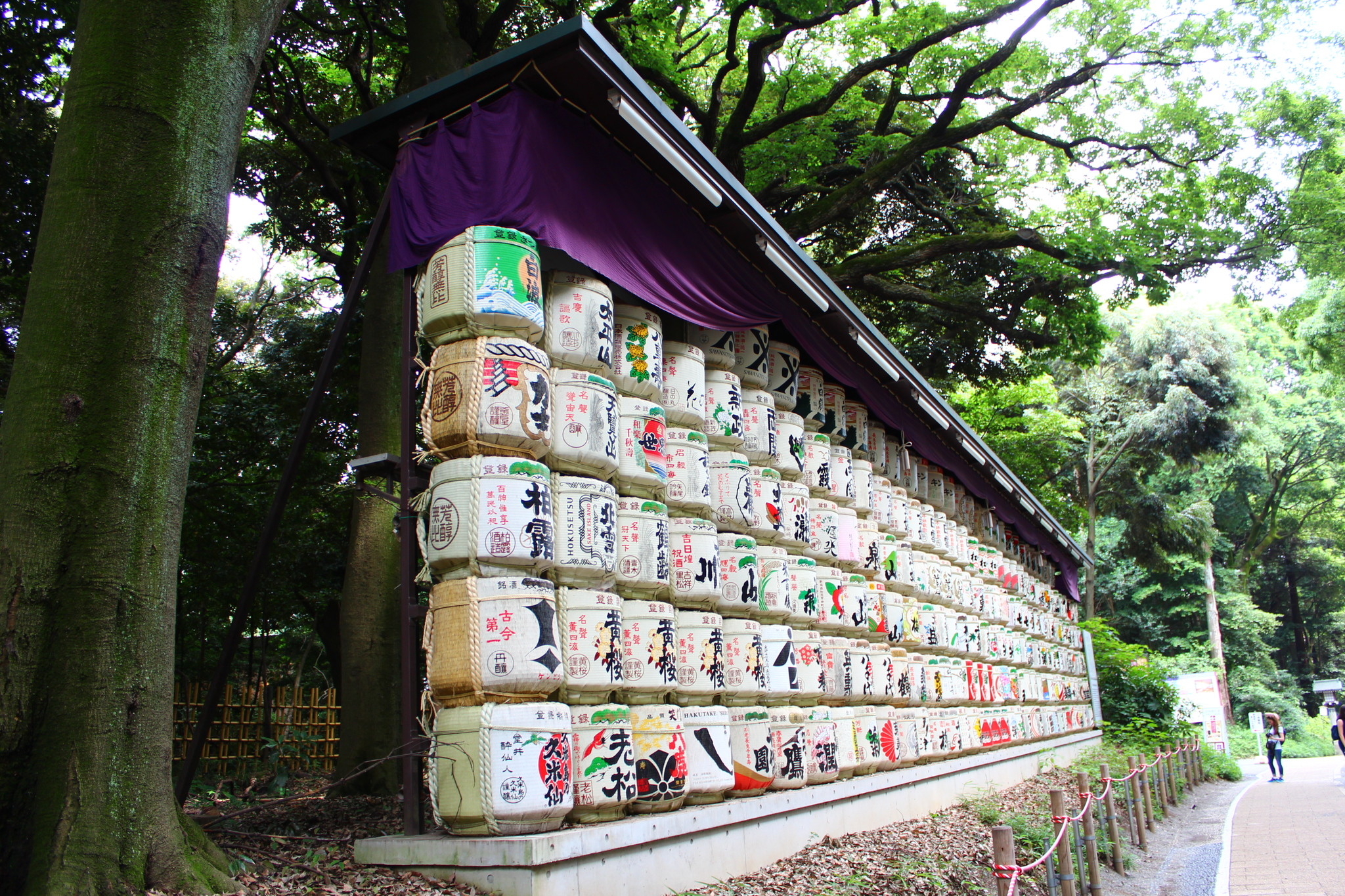 Summer Program Ayusa Summer Camp In Japan On TeenLife summer-program-ayusa-summer-camp-in-japan-on-teenlife